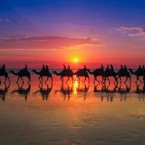 Camel Rides on Cable Beach in Broome