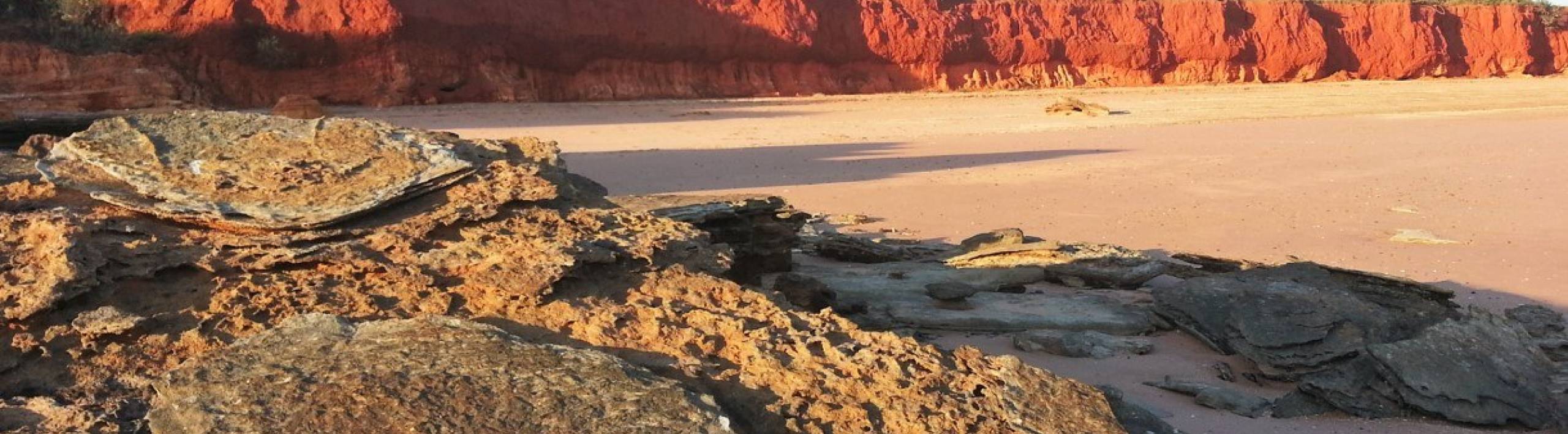 Dinosaur Footprints - Broome Visitor Centre