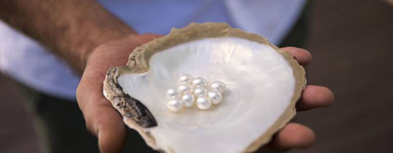 Jewellery & Pearl Showrooms in Broome