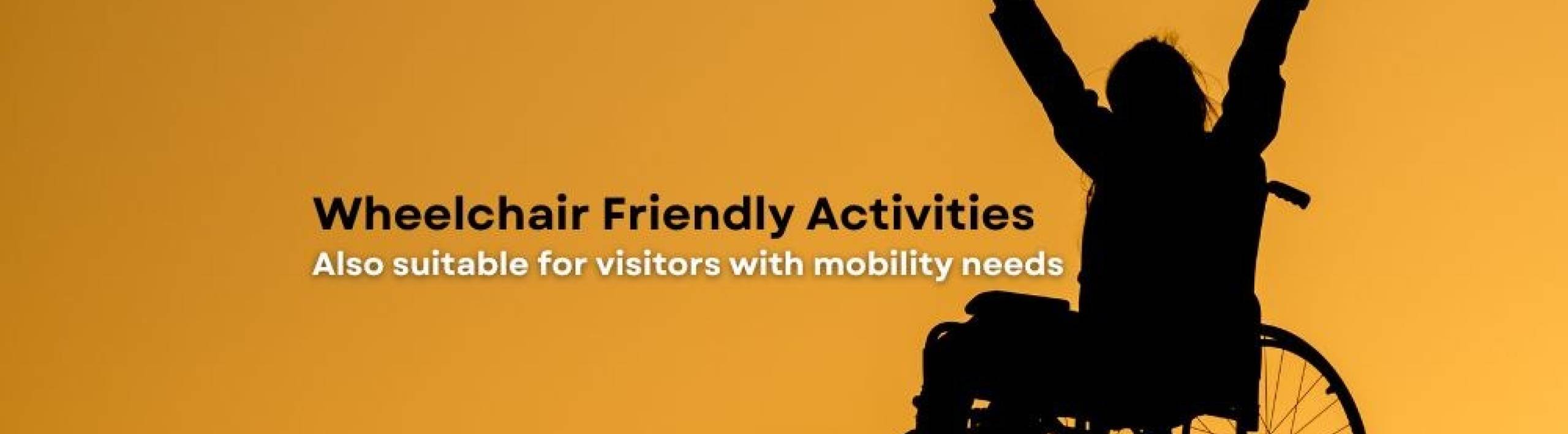 Wheelchair Friendly Activities