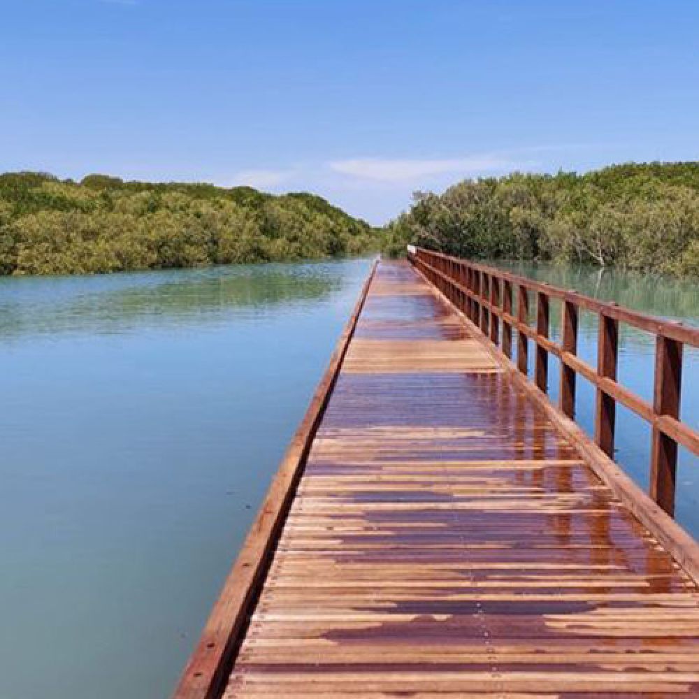 Activities in Broome and the Kimberley