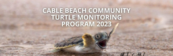 Cable Beach Community Turtle Monitoring Program 2023