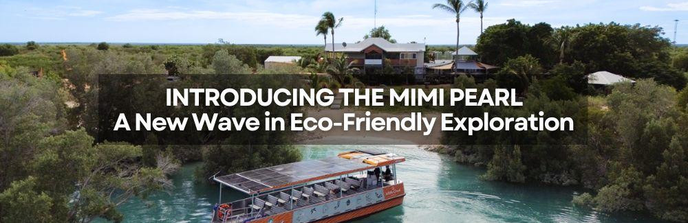 Introducing the Mimi Pearl: A New Wave in Eco-Friendly Exploration