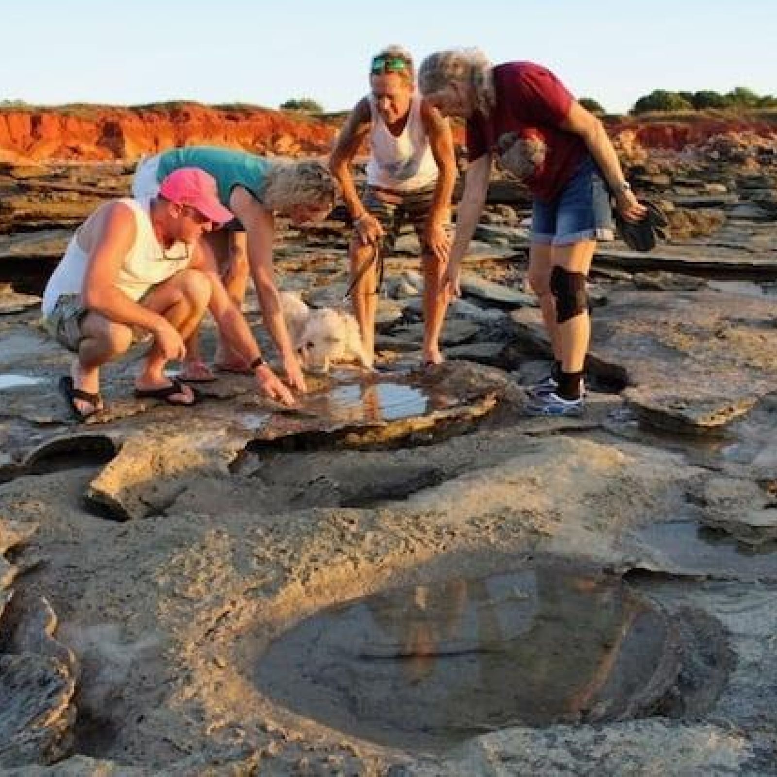 Dinosaur Footprints - Broome Visitor Centre