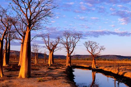 Derby Bus Service - Broome Visitor Centre