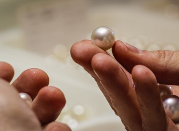 Paspaley Pearls - Broome Visitor Centre