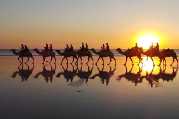 Camel Tours in Broome